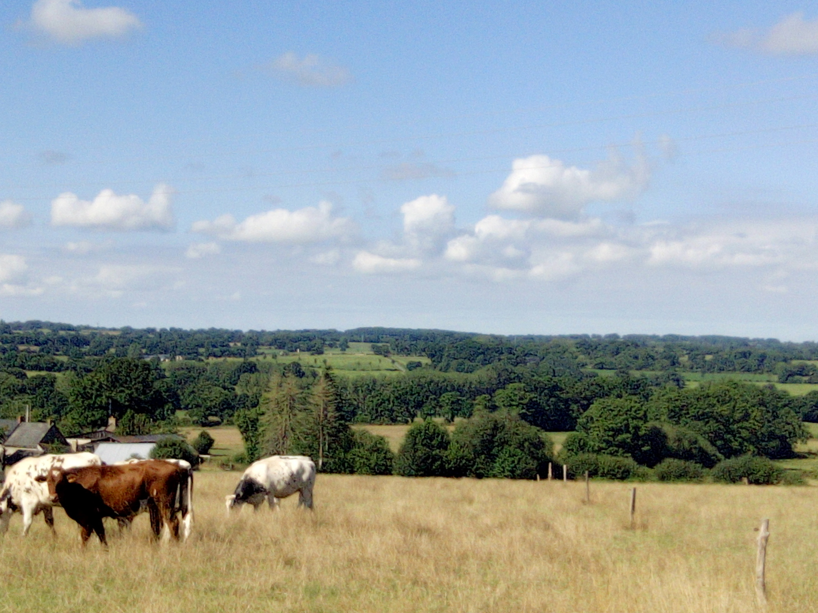 Un territoire de Bocage - le Bocage Mayennais
